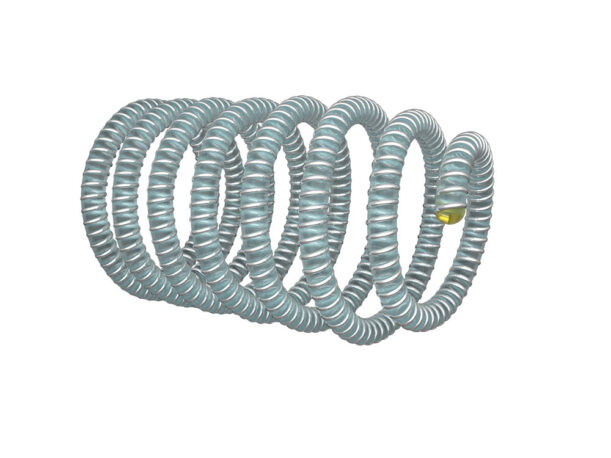 Neurology – awcconcepts